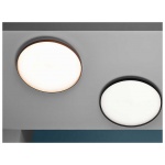 Flos Clara Wall & Ceiling Light - Chelsea Design