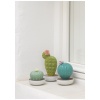 Lladro Ferocactus Cactus Diffuser. Tropical Blossoms Scent - Chelsea Design